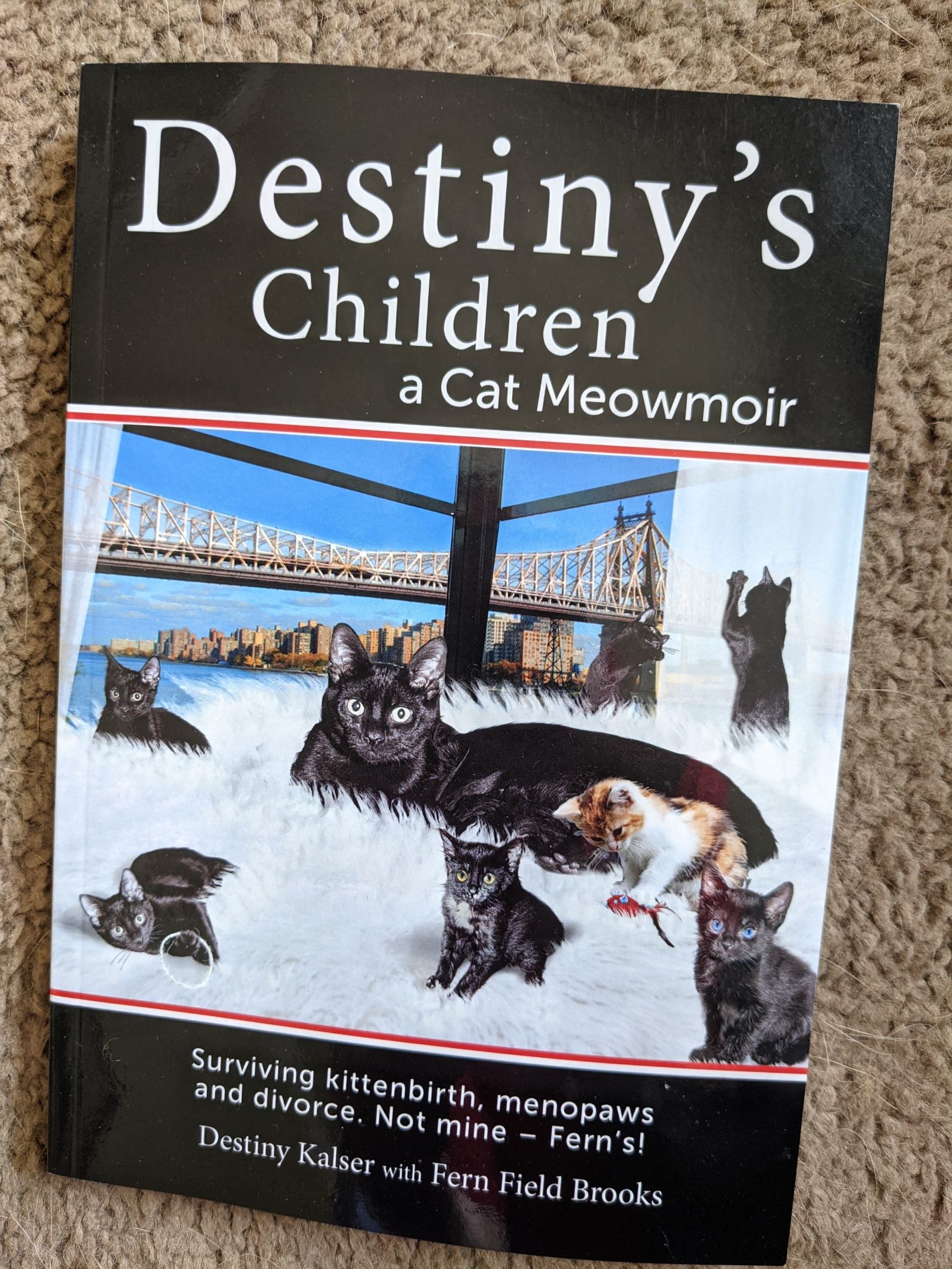 Book Review: Destiny’s Children – Maryann Writes